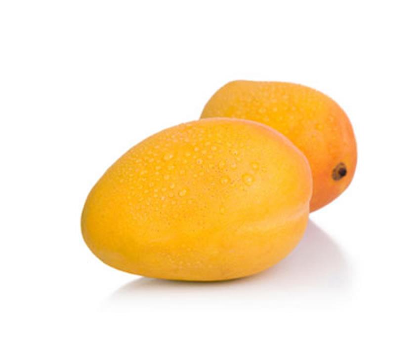 Mango manila – Barriocampo